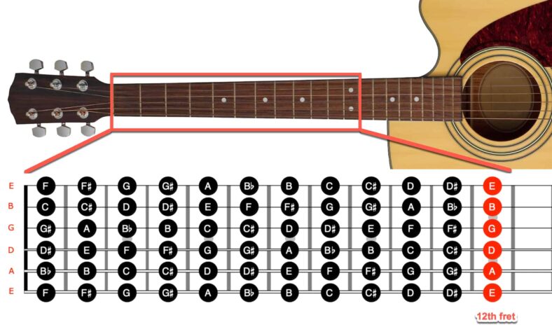 5 Top Tips To Mastering The Fretboard | Guitar Tips | Guitar Excellence